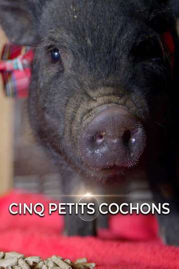 Cinq petits cochons - Where to Watch | Moviefone