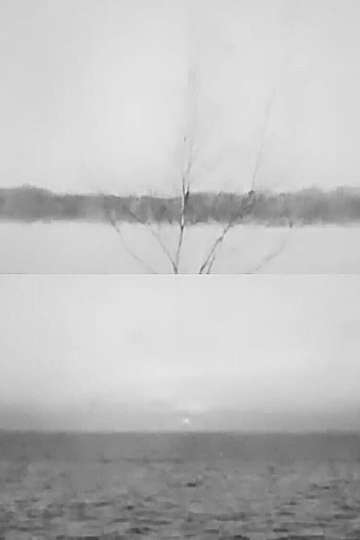 EVE - Movie | Moviefone