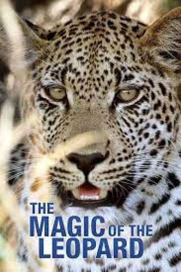 The Magic of the Leopard - Movie | Moviefone