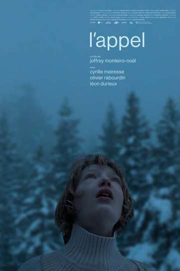 Where to Watch The Calling | Moviefone