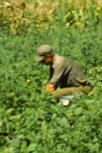 Michigan - Movie | Moviefone