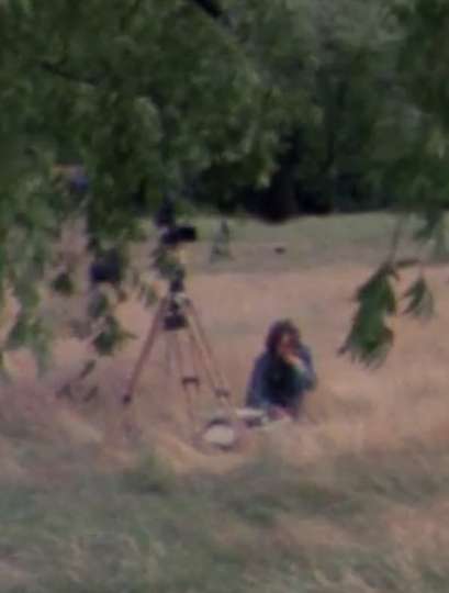 Wind Vane II - Movie | Moviefone