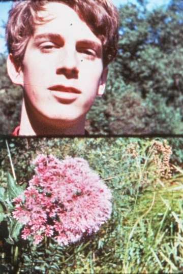 Dan Potter (1968) - Where to Watch | Moviefone