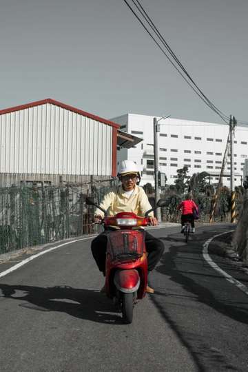 Wildflower | Moviefone