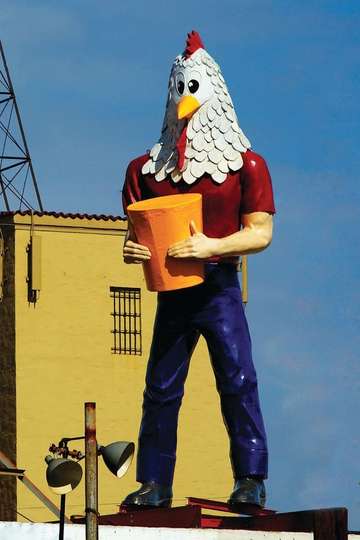 Chicken Boy The Movie - Movie | Moviefone