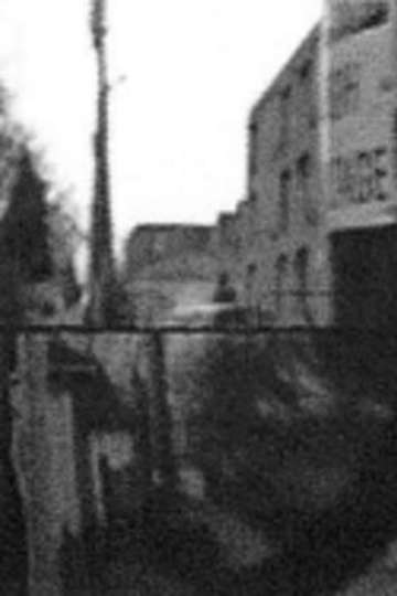 Blue Decoding - Where to Watch | Moviefone