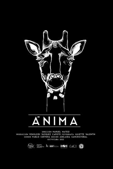 Anima - Movie | Moviefone