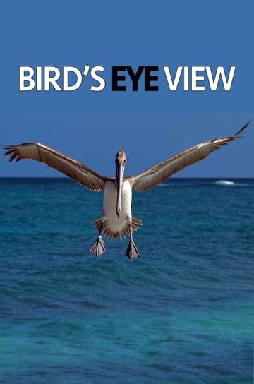 Bird's Eye View - Movie | Moviefone