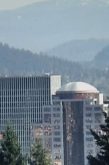 Hollywood 1 - Movie | Moviefone