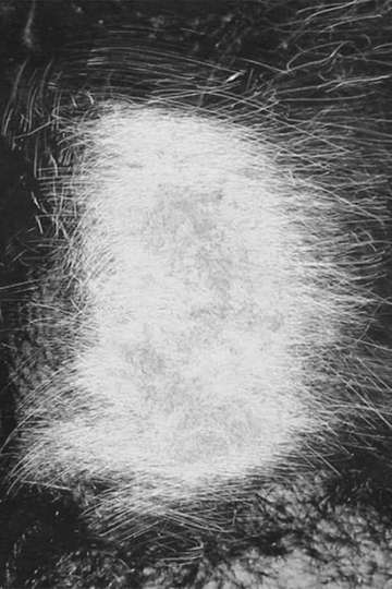 Rosebud - Movie | Moviefone