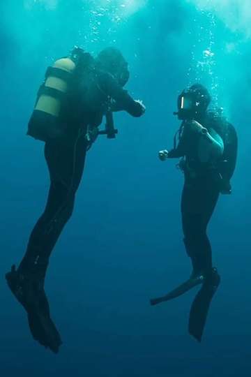 The Dive (2023) Stream and Watch Online | Moviefone