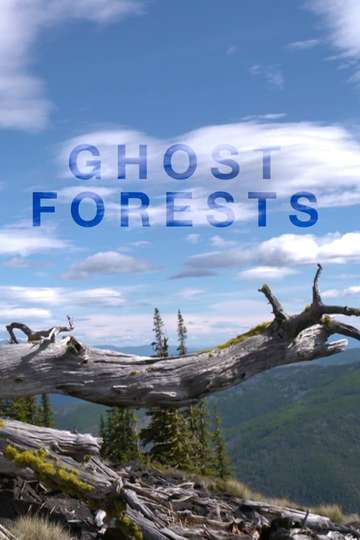 Ghost Forests - Movie | Moviefone