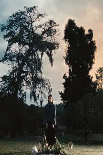 Meta - Movie | Moviefone