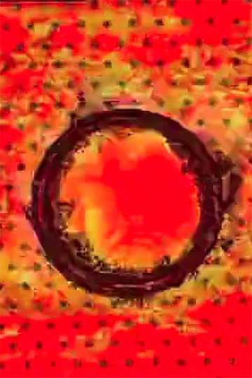 Sunset Strip - Where to Watch | Moviefone