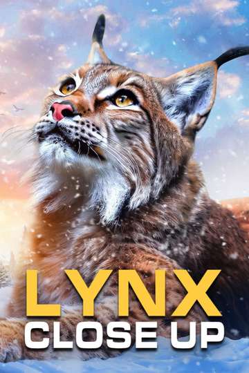 Where to Watch Lynx - Close Up | Moviefone