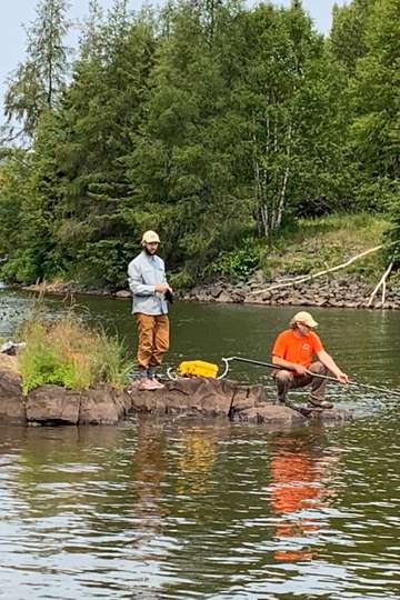 Portrait of Cameron Brown - Movie | Moviefone
