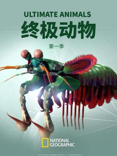 Ultimate Animals | Moviefone