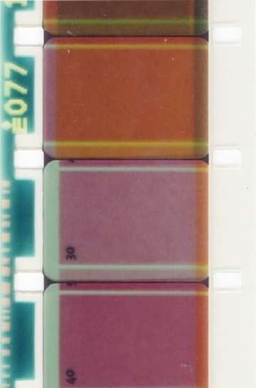 Australian Paper - Movie | Moviefone