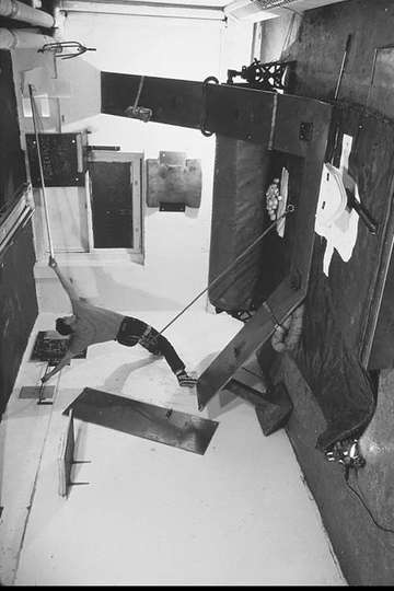 Where to Watch DRAWING RESTRAINT 2 (1988) | Moviefone