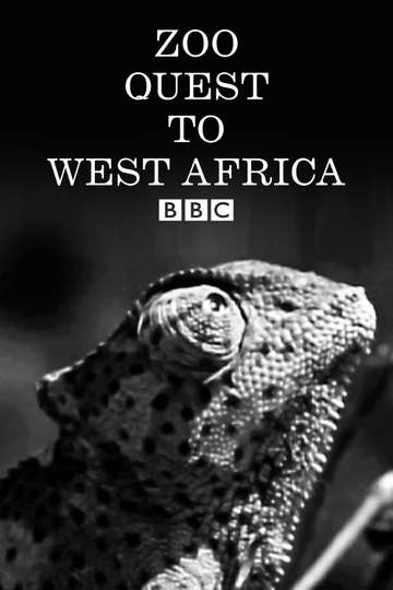 Zoo Quest to West Africa - Movie | Moviefone
