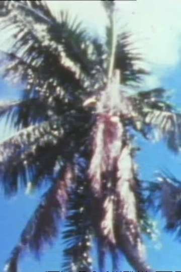 Les hommes et les cocotiers de Coëtivy - Movie | Moviefone