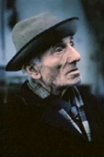 Noe - Movie | Moviefone