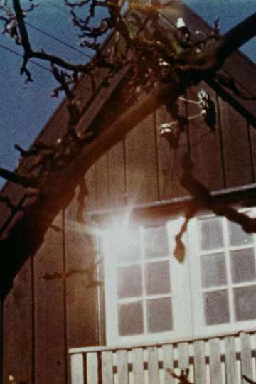 The Sun Has Risen - Movie | Moviefone