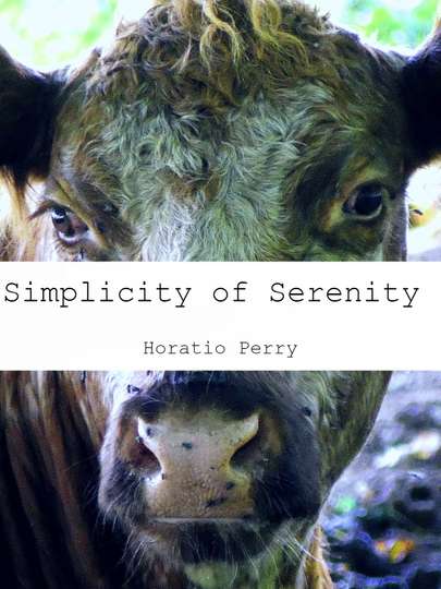 Simplicity of Serenity (2023) - Movie | Moviefone
