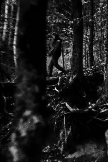 The Hollow - Movie | Moviefone