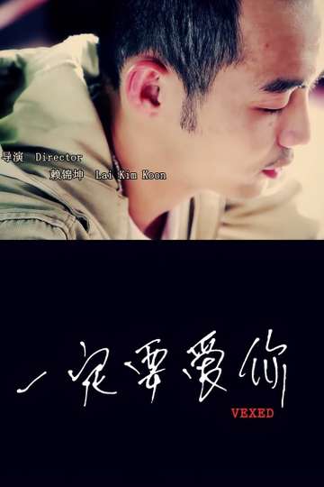 VEXED (2013) - Movie Cast, Reviews, Trailers & Streaming Info | Moviefone