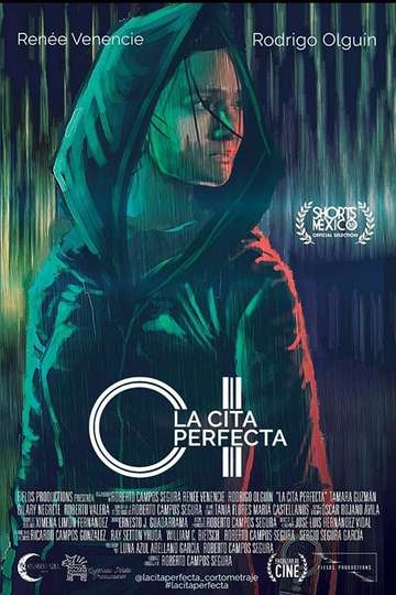 The Perfect Date - Movie | Moviefone