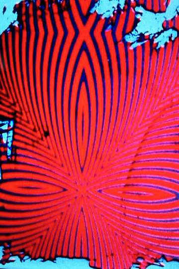 Dismal Universal Hiss - Movie | Moviefone