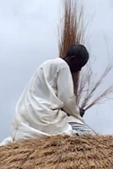 Diyam Wala: Water and Life in Kalfou Cameroon - Movie | Moviefone