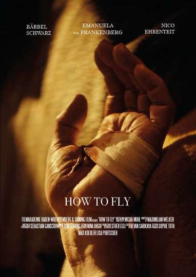How to Fly - Movie | Moviefone