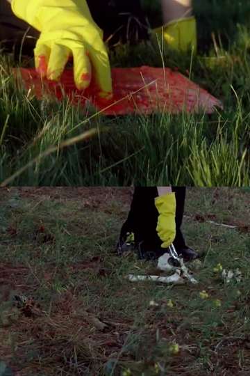 Ossein - Movie | Moviefone