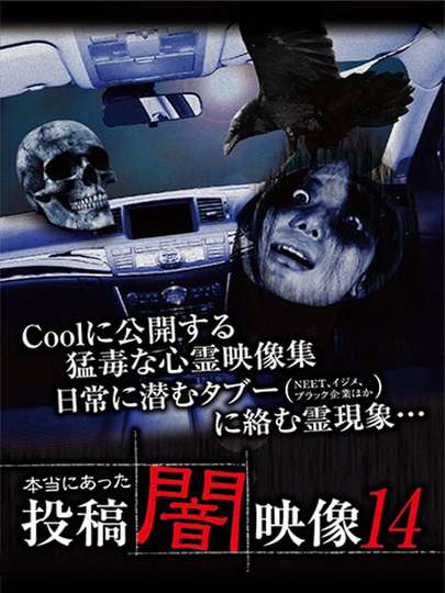 Honto ni Atta: Toko Yami Eizo 14 | Moviefone