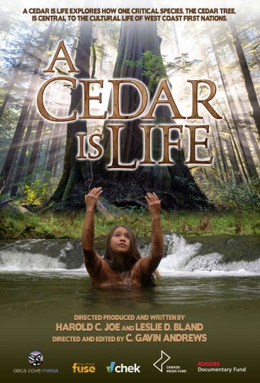 A Cedar Is Life - Movie | Moviefone