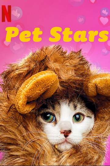 Pet Stars (2021) Streaming - Where to Watch Online | Moviefone
