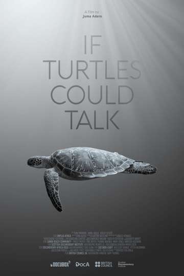 If Turtles Could Talk | Moviefone