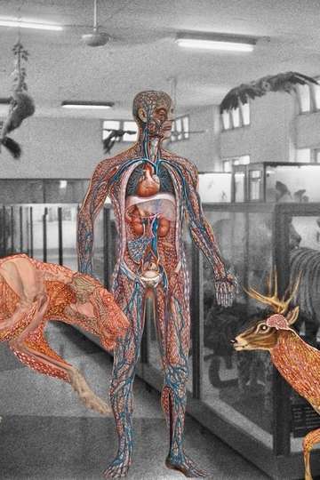 Myanmar Anatomy - Movie | Moviefone