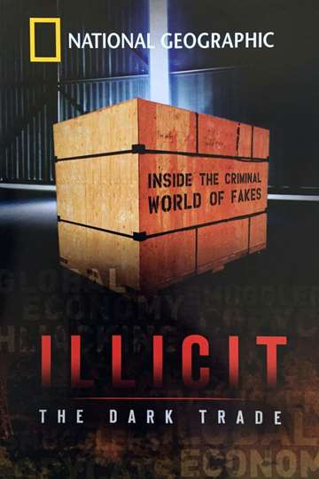 Illicit: The Dark Trade (2008) - Movie | Moviefone