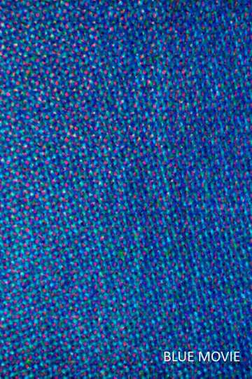 Blue Movie - Movie | Moviefone
