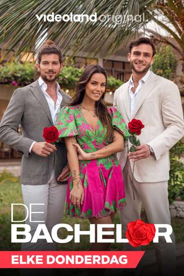 De Bachelor - Where to Watch & Stream Online | Moviefone