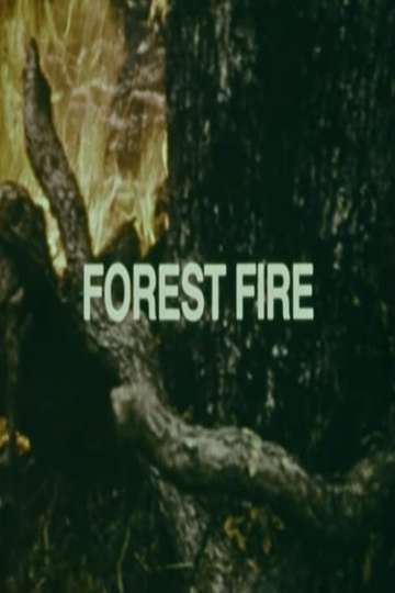 Your Chance to Live: Forest Fire (1973) - Movie | Moviefone