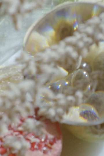 Parallel Botany (2023) - Movie | Moviefone