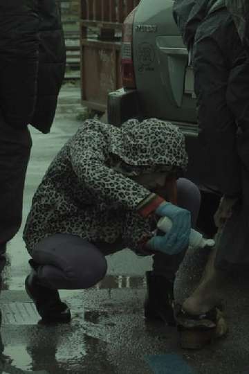 In Transit - Movie | Moviefone