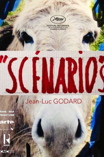 Presentation of the Trailer of a Film "Scénario" - Movie | Moviefone