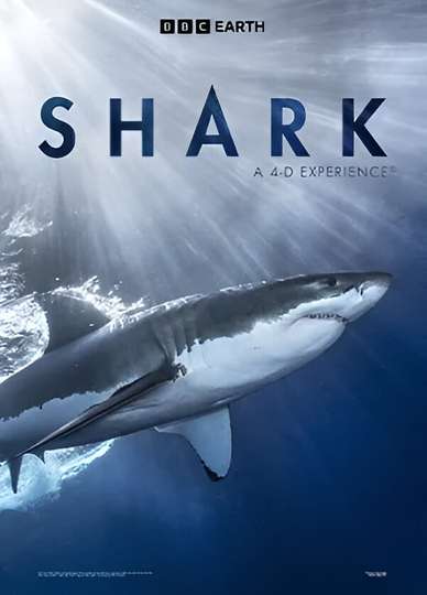 Shark: A 4D Experience (2017) - Movie | Moviefone