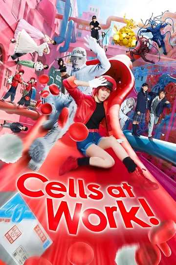 Cells at Work! (2025) - Movie | Moviefone