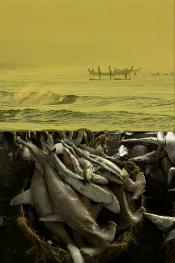 Fish Tales Full Cast & Crew | Moviefone